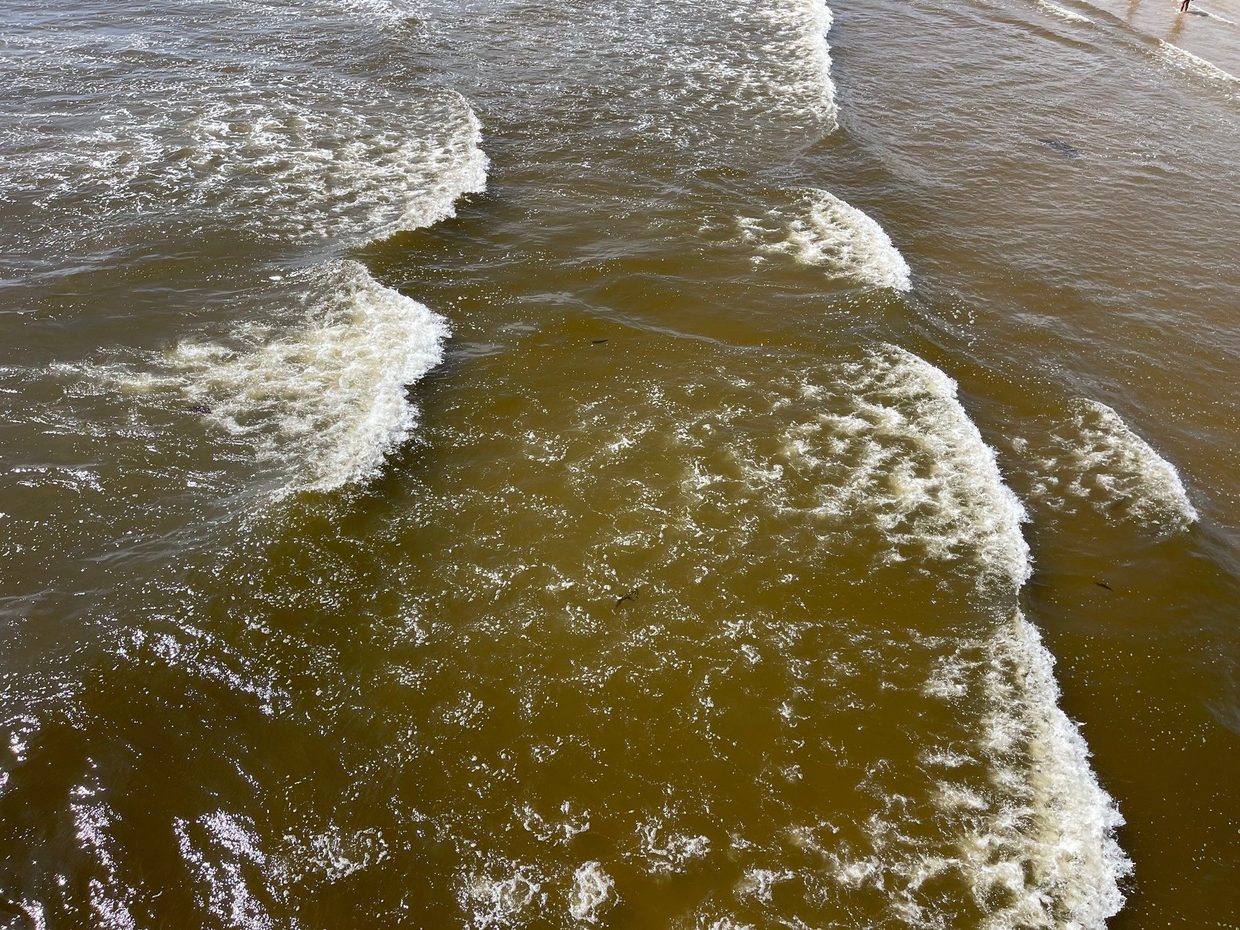 Florida Region | Surfrider Foundation